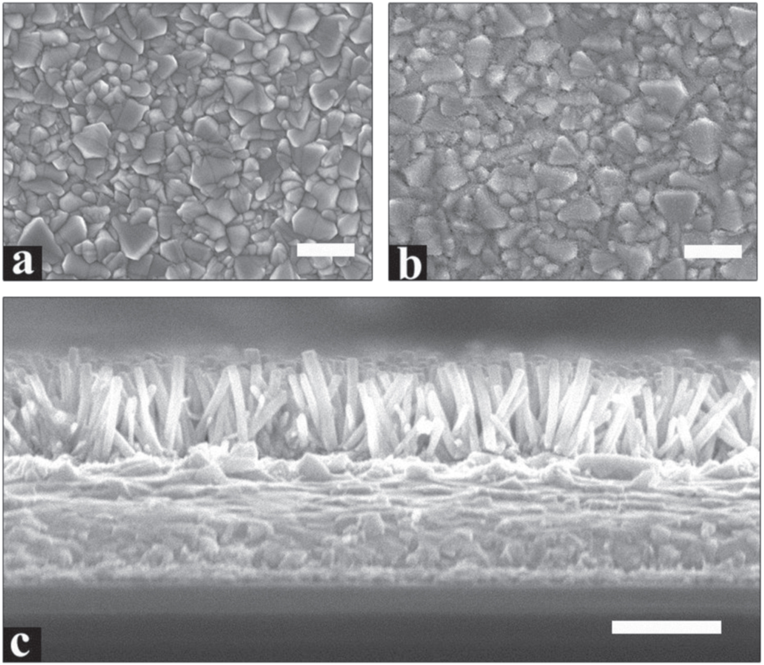 Hydrothermal growth optimization of vertically aligned ZnO nanowire arrays and their dye ...