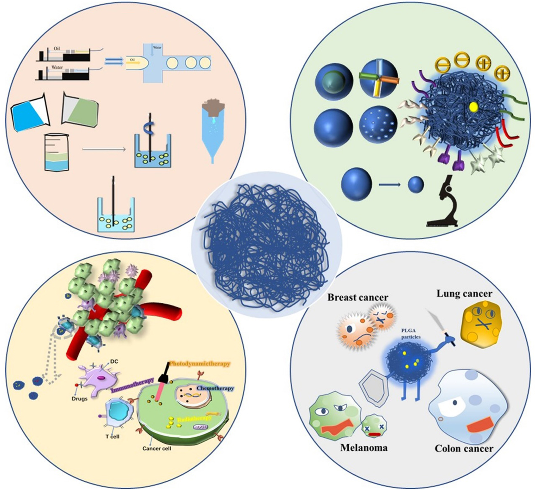 PLGA-based drug delivery system for combined therapy of cancer ...