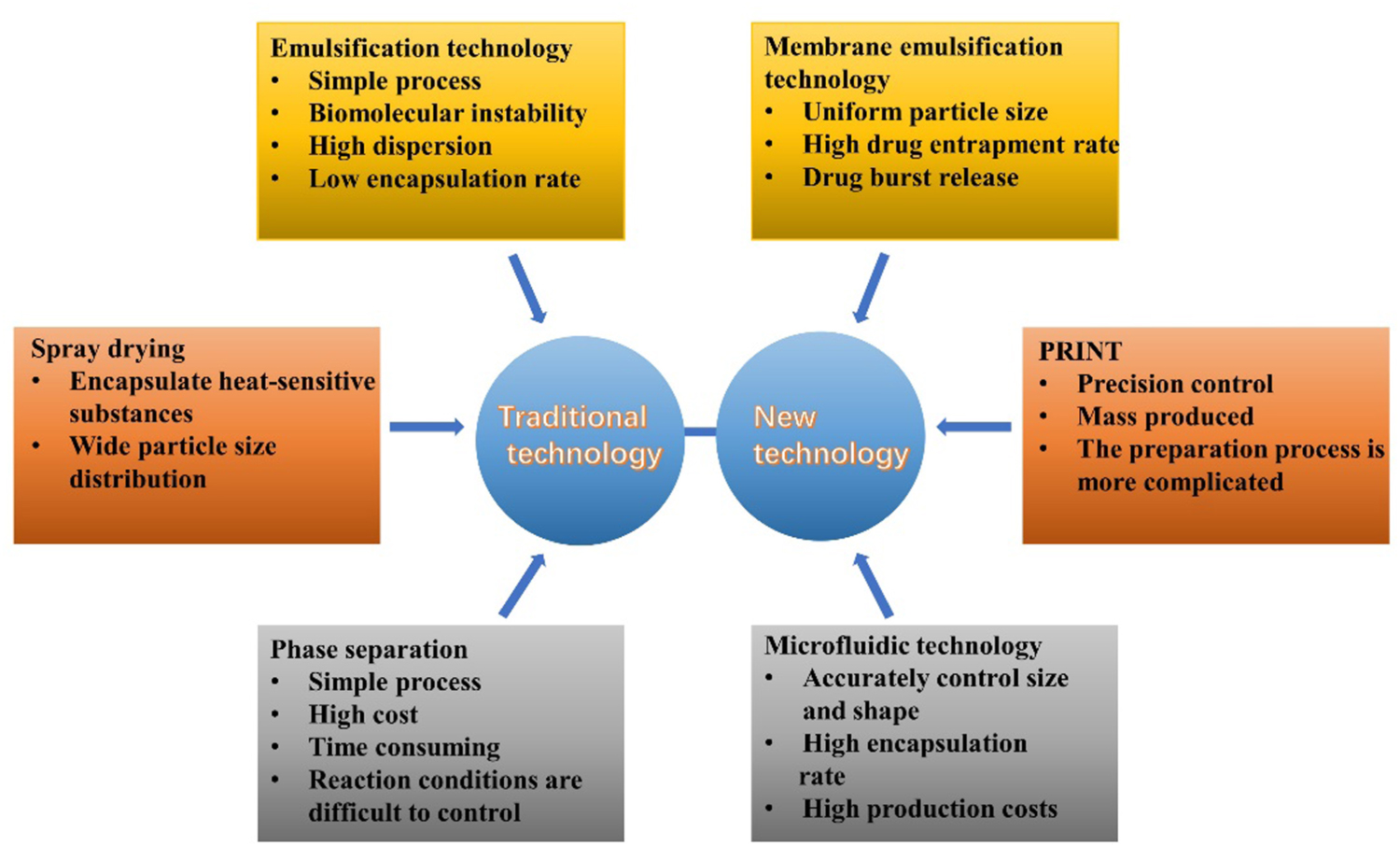 PLGA-based drug delivery system for combined therapy of cancer ...