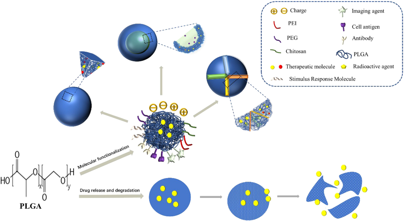PLGA-based drug delivery system for combined therapy of cancer ...