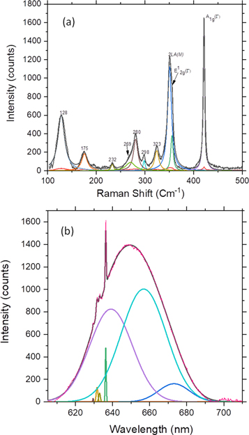Optical and electrical characterization of WS2 multilayer on flexible ...