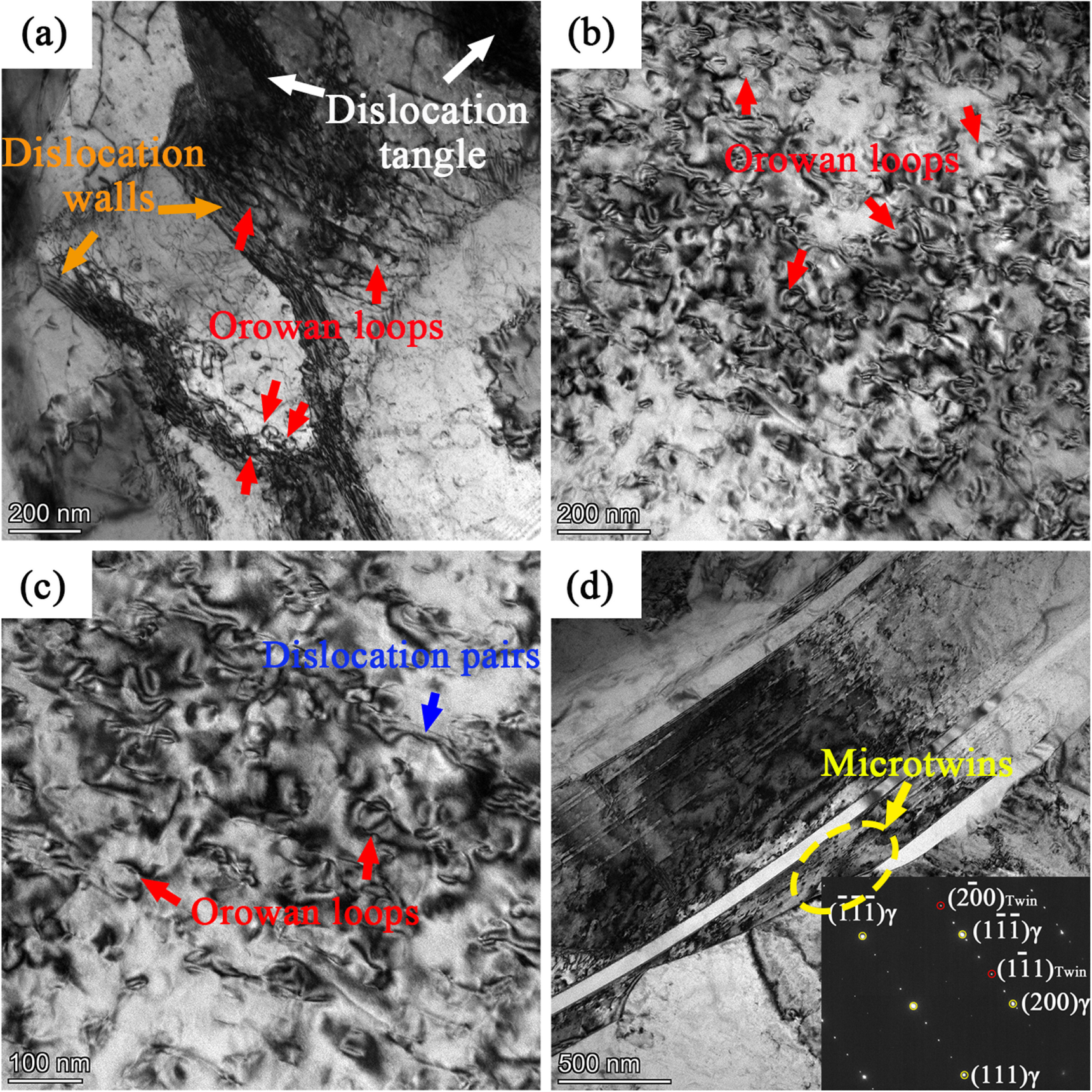 Microstructure evolution and stress rupture properties of A286 ...