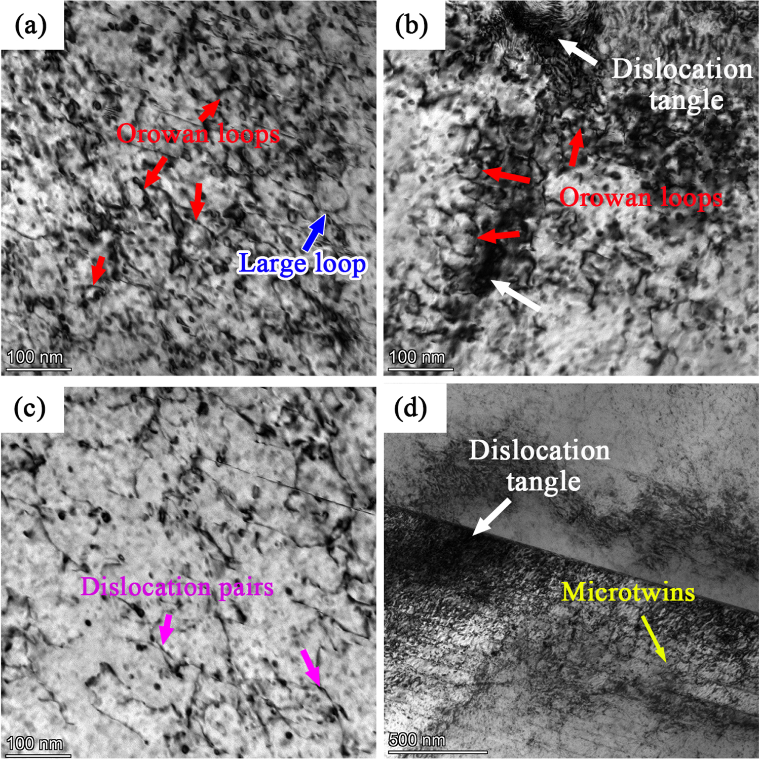 Microstructure evolution and stress rupture properties of A286 ...