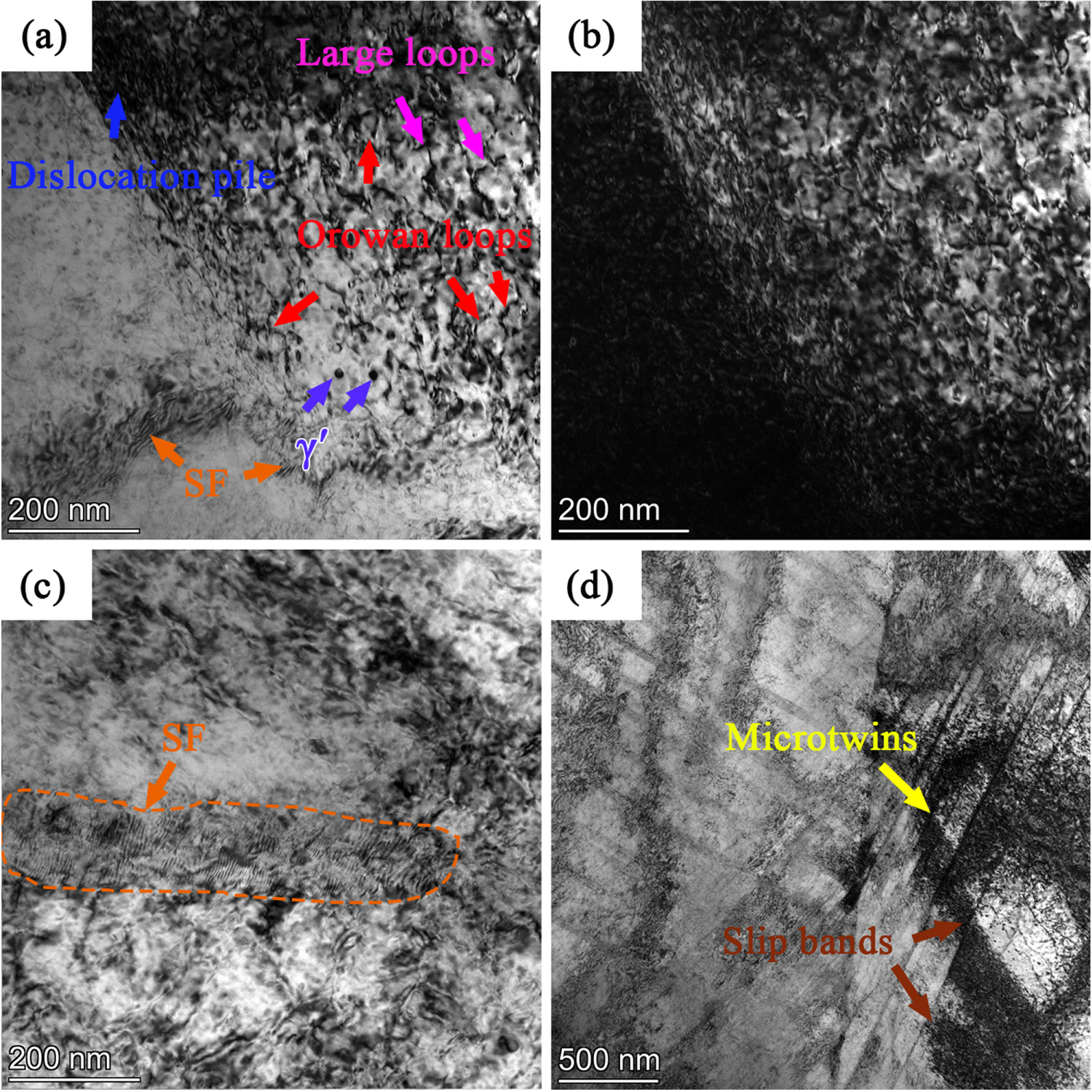 Microstructure evolution and stress rupture properties of A286 ...