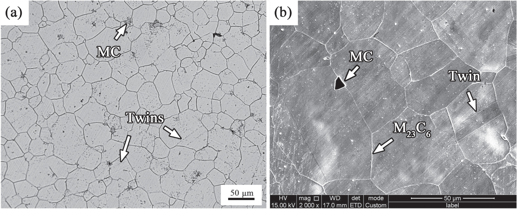 Microstructure evolution and stress rupture properties of A286 ...