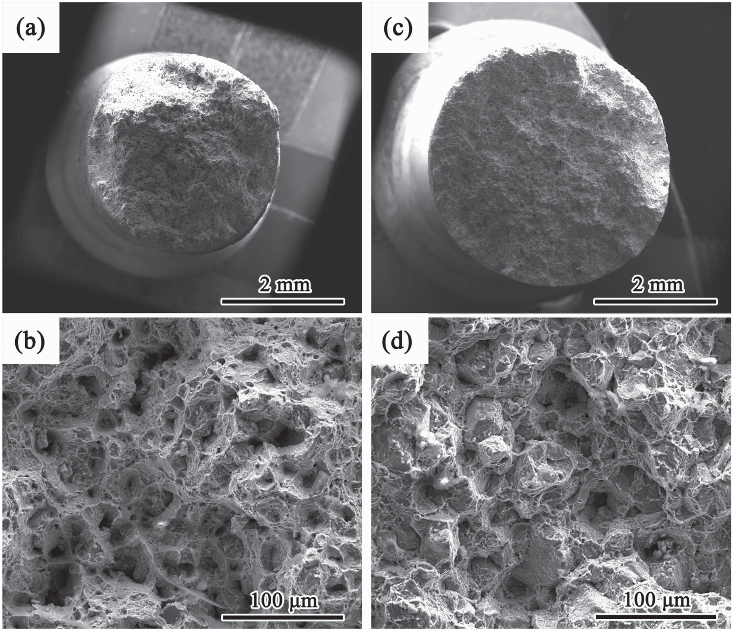 Microstructure evolution and stress rupture properties of A286 ...