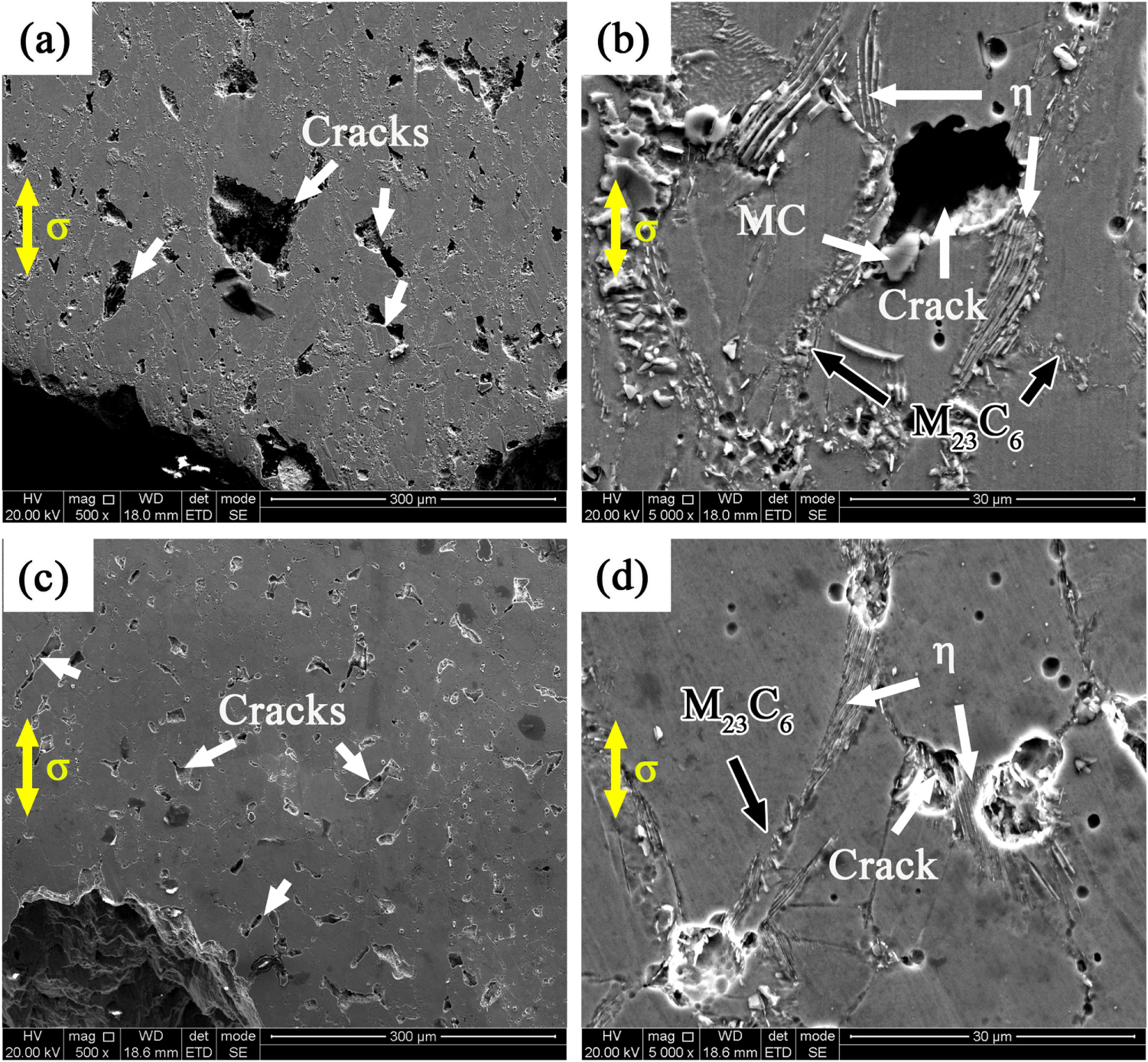 Microstructure evolution and stress rupture properties of A286 ...
