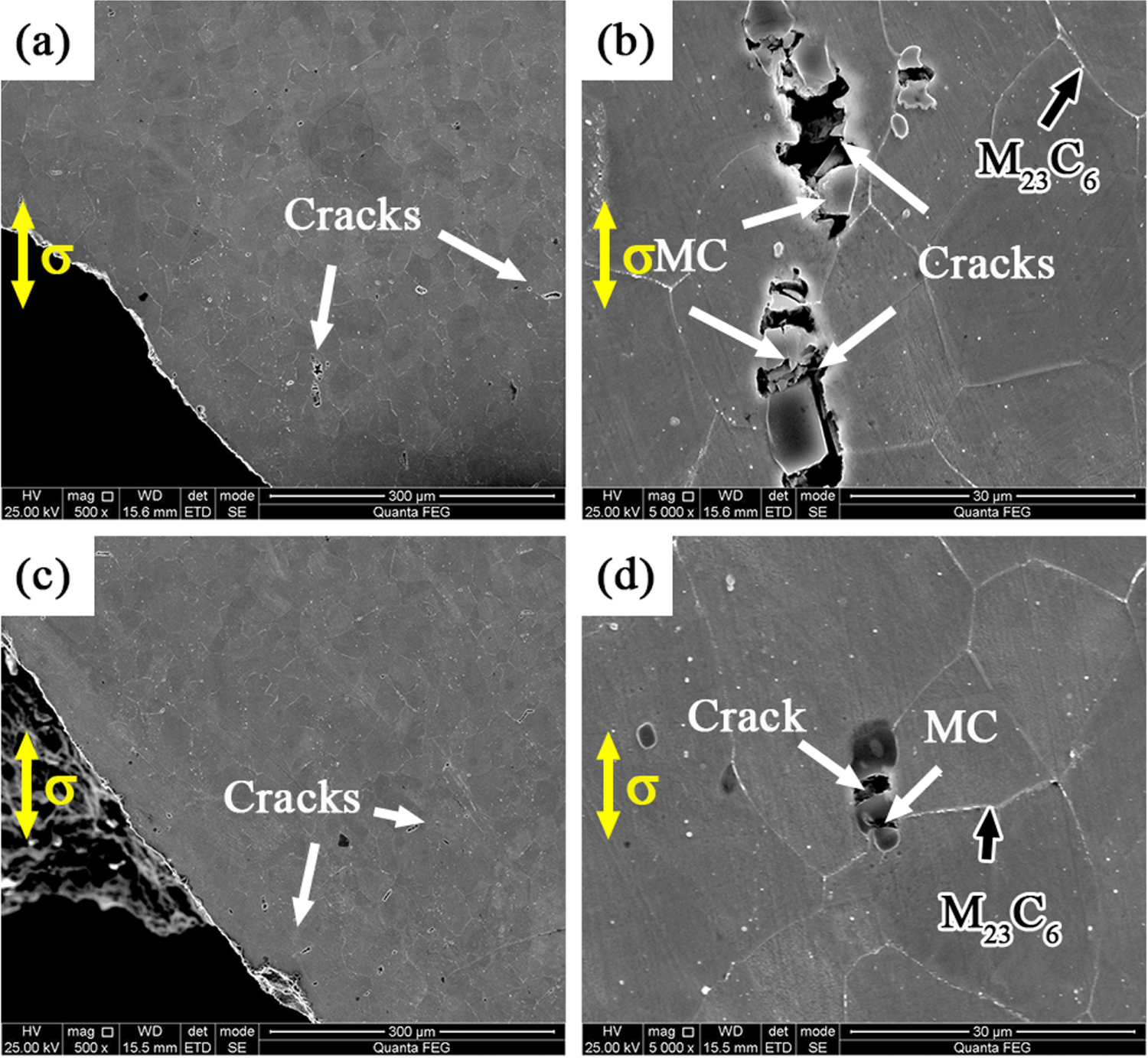 Microstructure evolution and stress rupture properties of A286 ...
