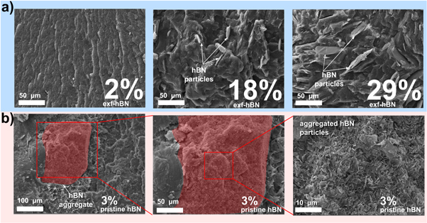 Improved thermal conductivity of polypropylene filled with exfoliated ...