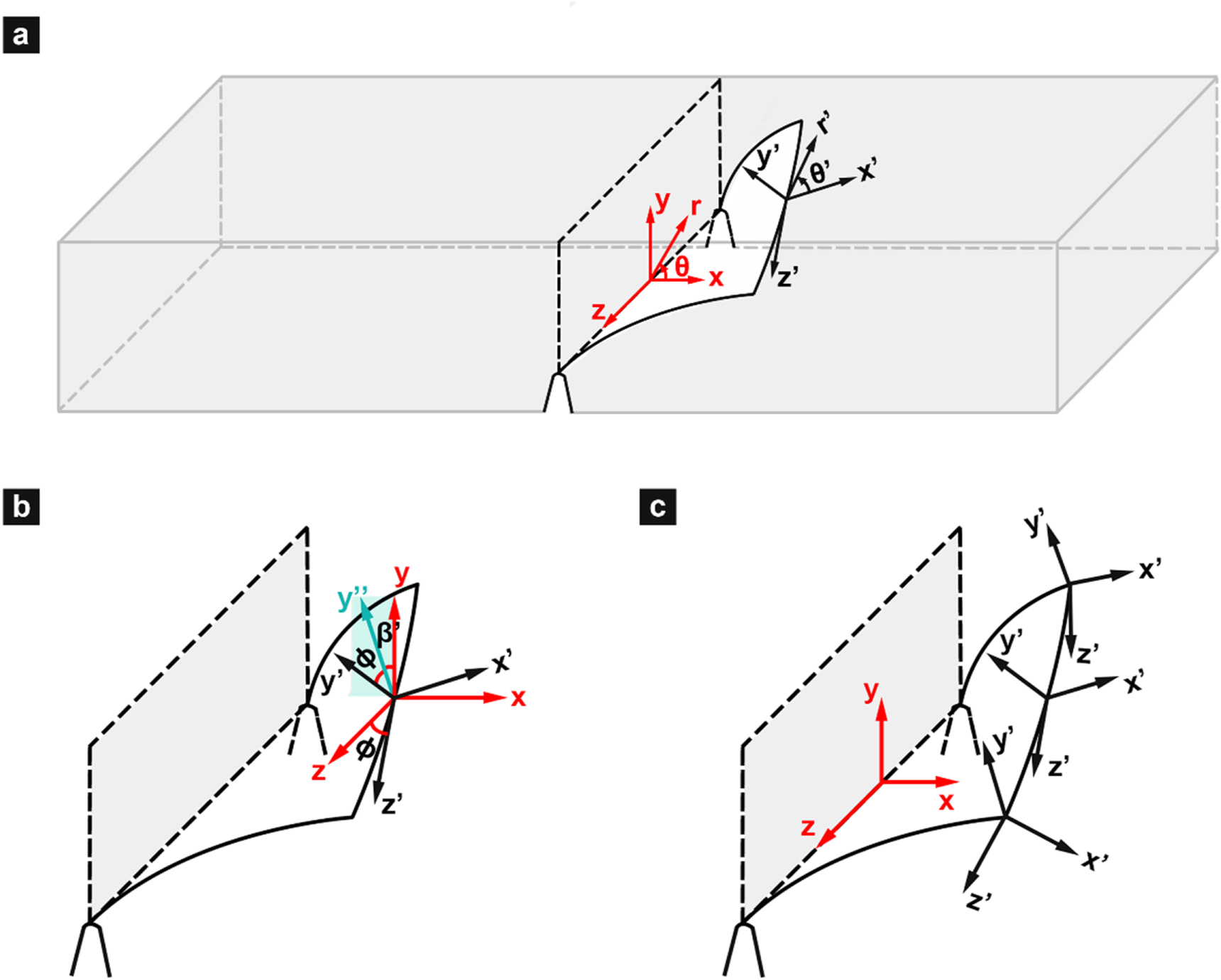 Analysis and verification of a biomimetic design model based on fish ...