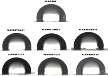 Preparation and characterization of polymeric films based on PLA, PBAT ...