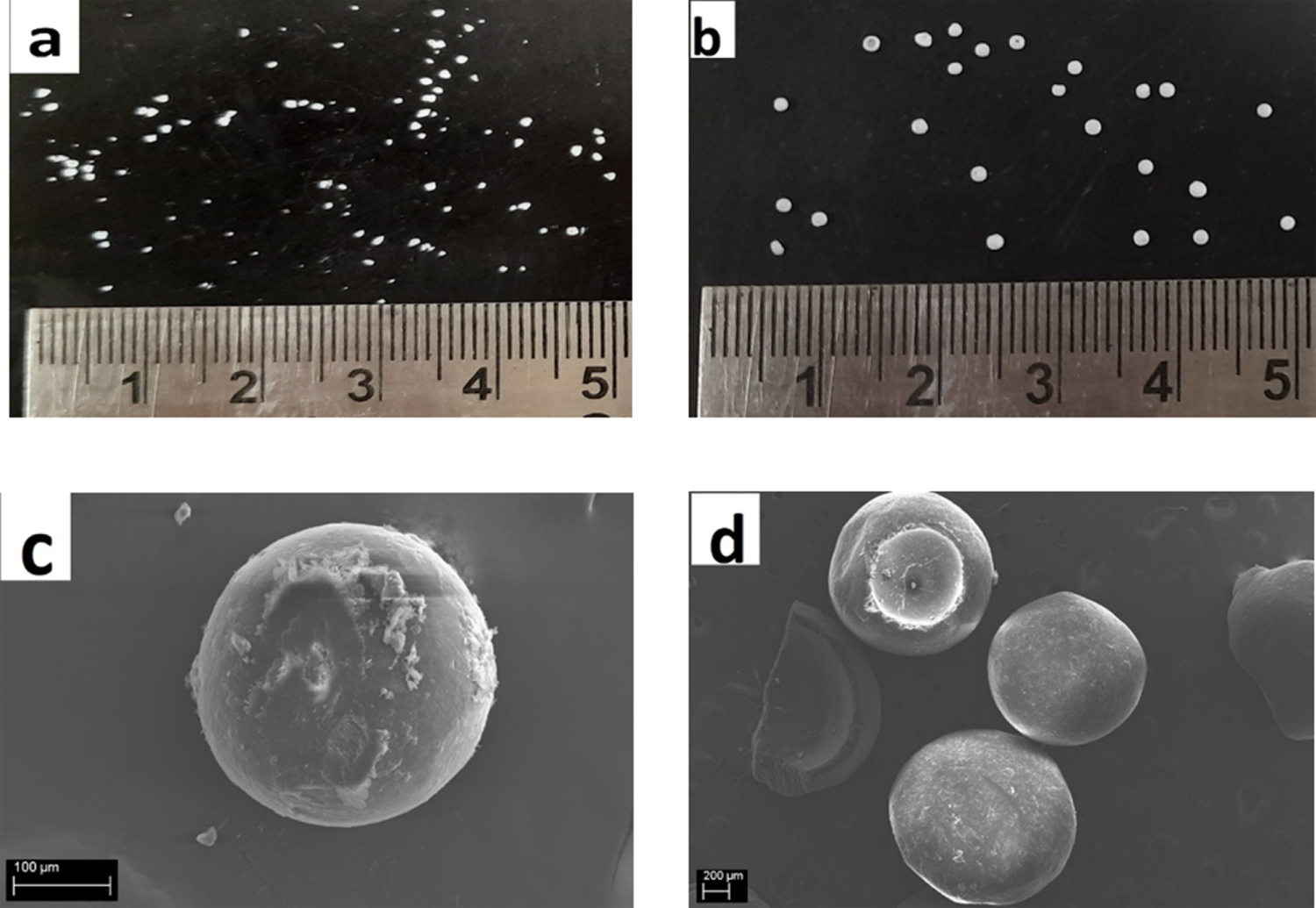 Microstructure and mechanical behaviour of Ti-Cu foams synthesized via ...