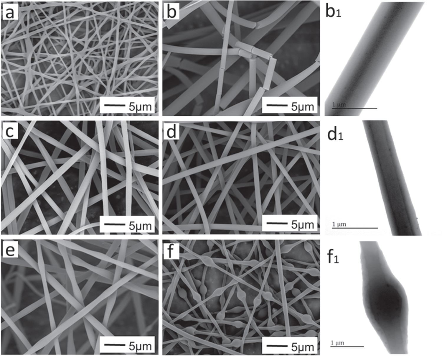 Functional polyaspartic acid fibers hydrogel membrane with enhanced ...