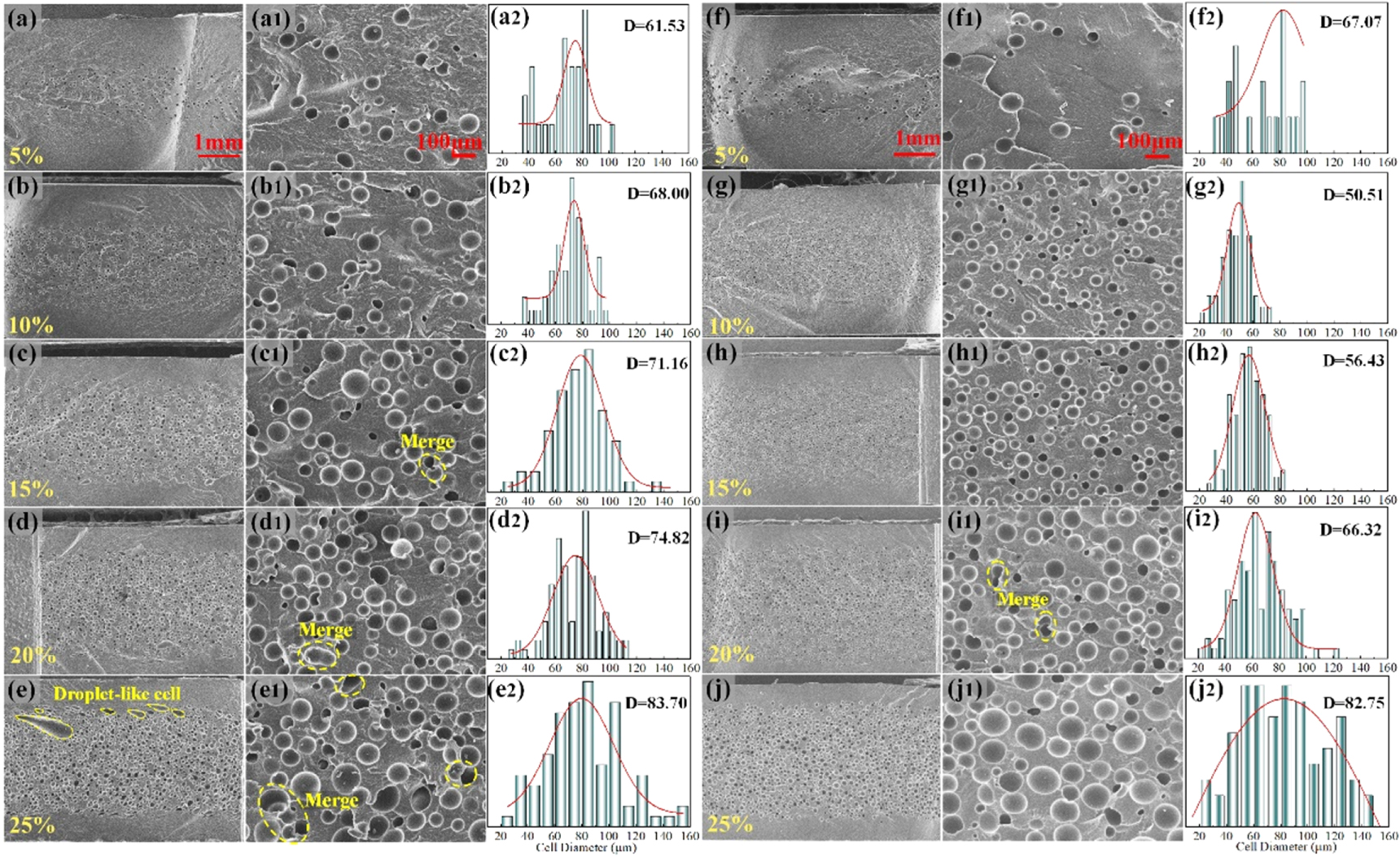 The effect of injection process for microcellular foaming on the cell ...