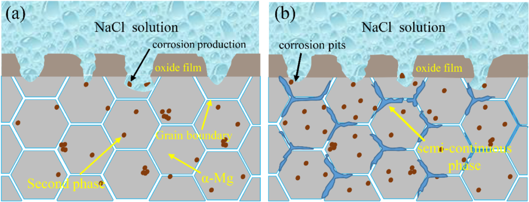 Effect of Nd on the microstructure and corrosion behavior of Mg-Gd-Nd ...