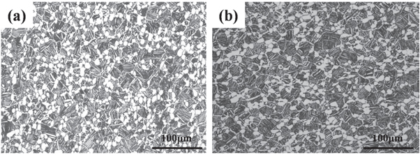 Stress corrosion cracking and fracture behaviors of gaseous ...