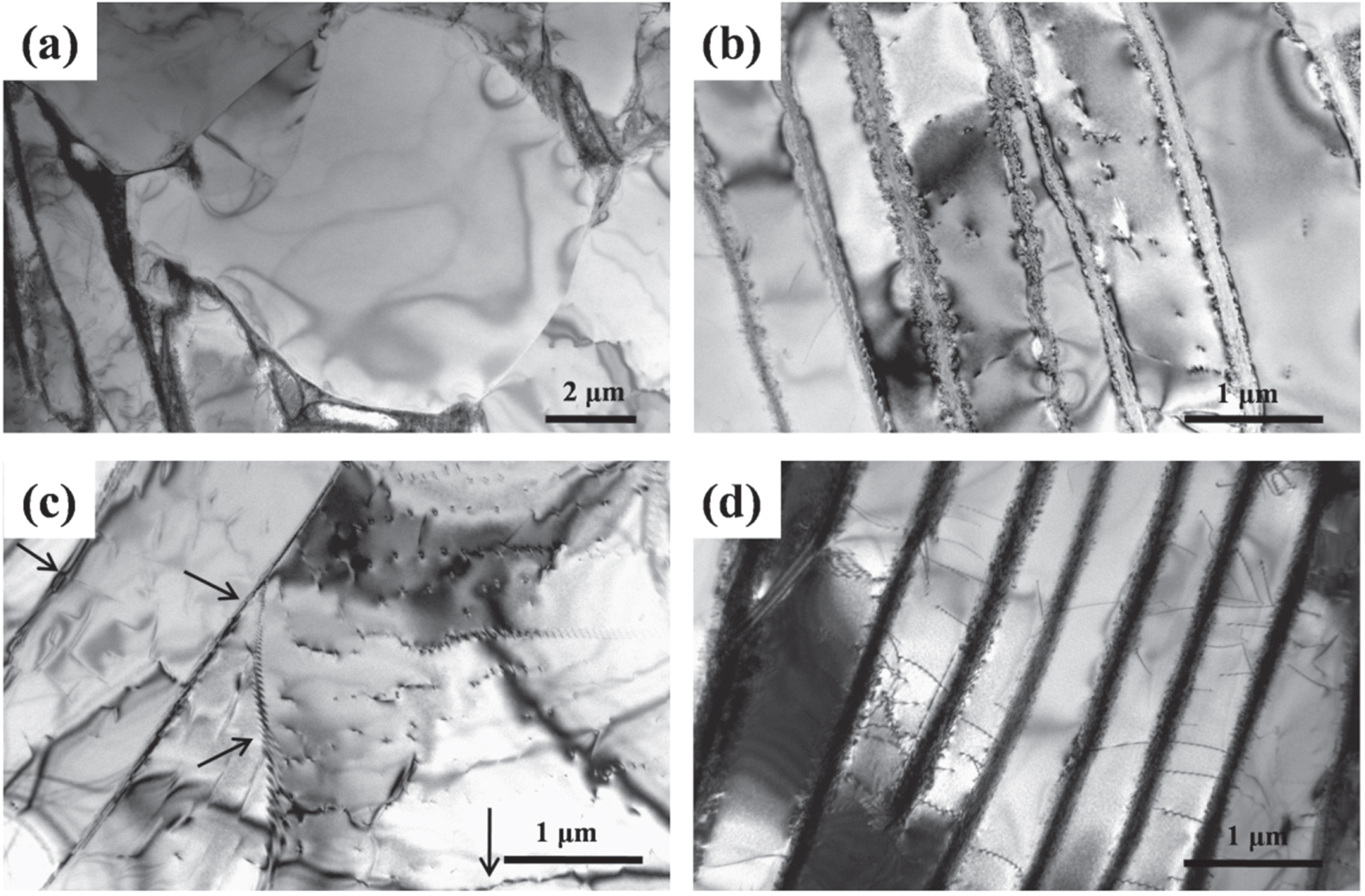 Stress corrosion cracking and fracture behaviors of gaseous ...