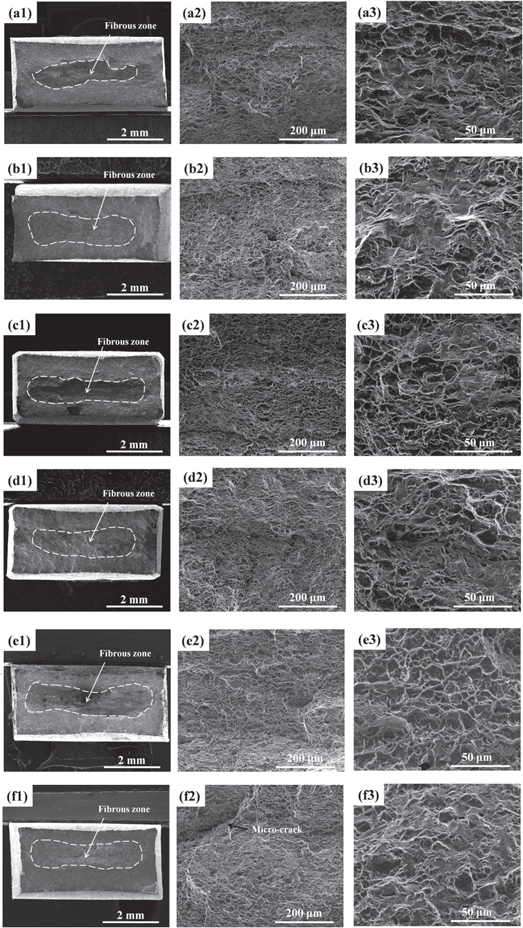 Stress corrosion cracking and fracture behaviors of gaseous ...