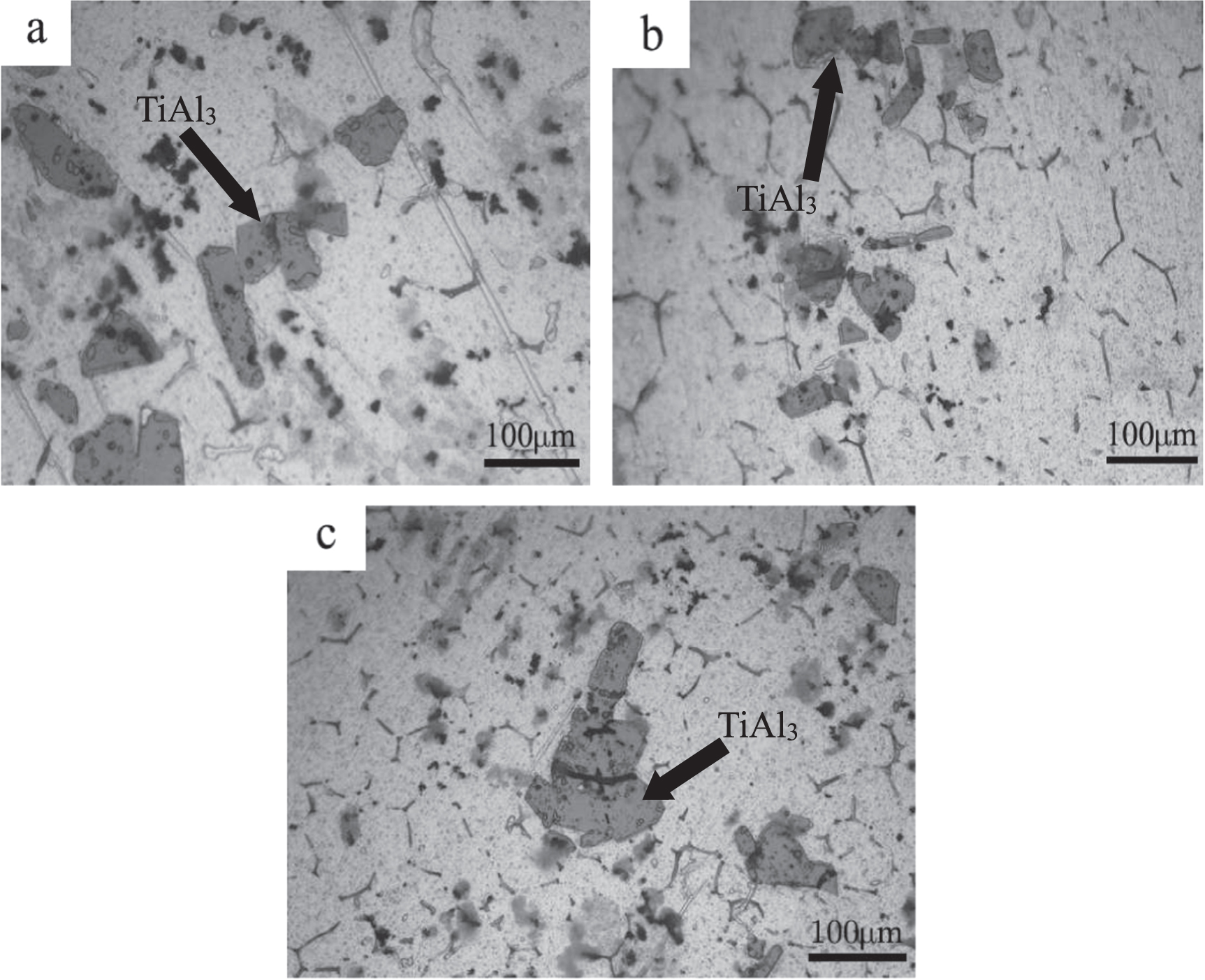 Precipation of TiAl3 in remelting Al-5Ti-1B and the grain refinement of ...