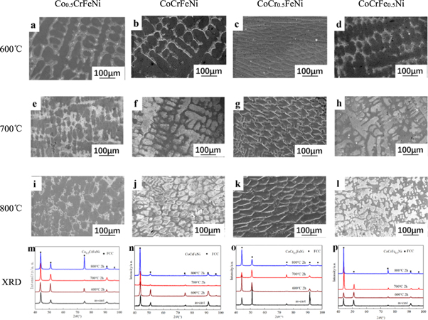 The formation of sigma phase in the CoCrFeNi high-entropy alloys ...
