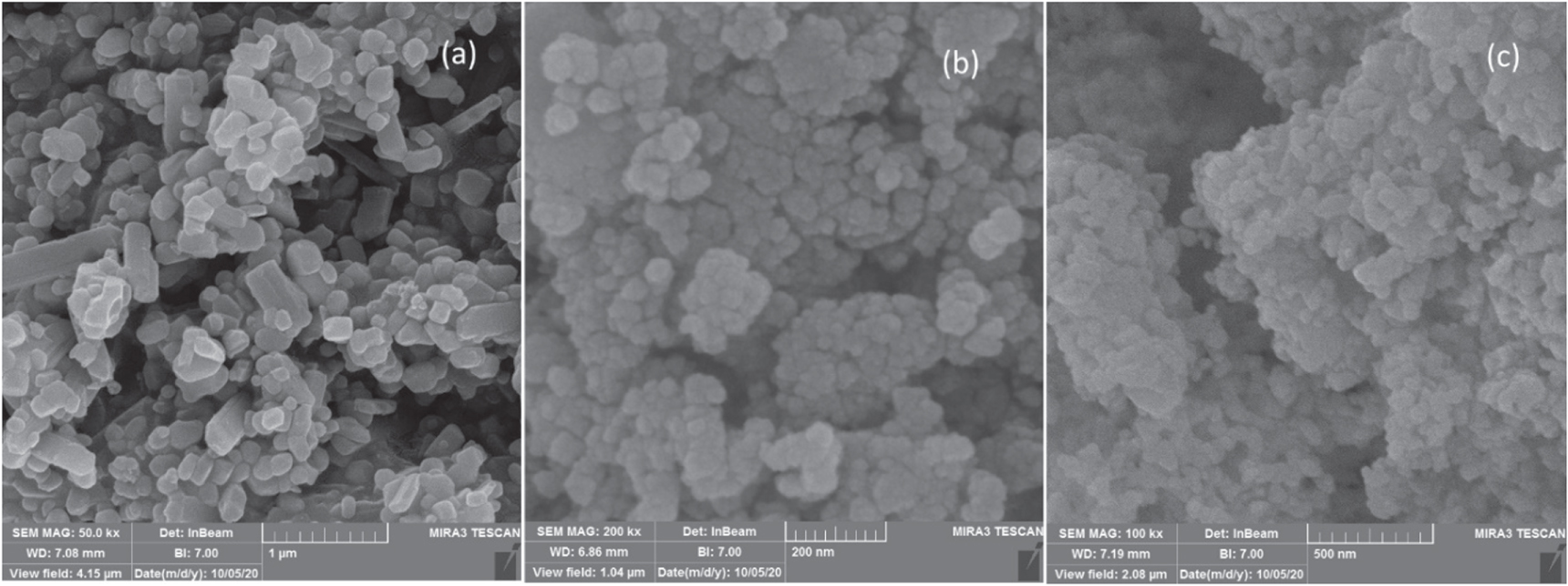 An efficient electrochemical sensor based on CeVO4-CuWO4 nanocomposite ...