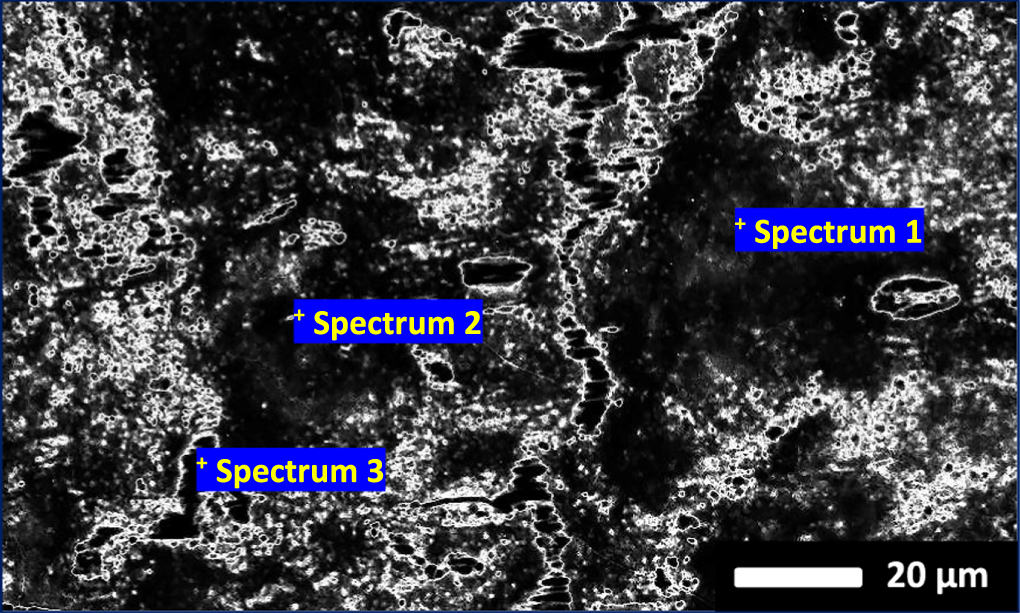 Progress on microstructure features and creep properties of prospective ...