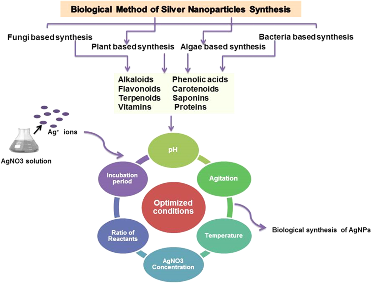 Application of green synthesized silver nanoparticles in cancer ...