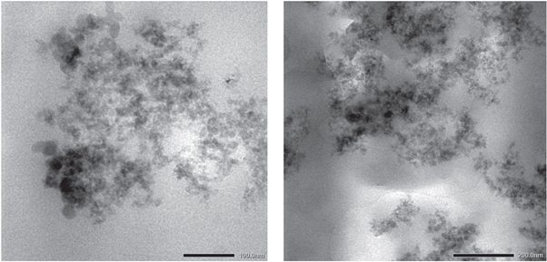 Effects of triphenyl phosphate (TPP) and nanosilica on the mechanical ...