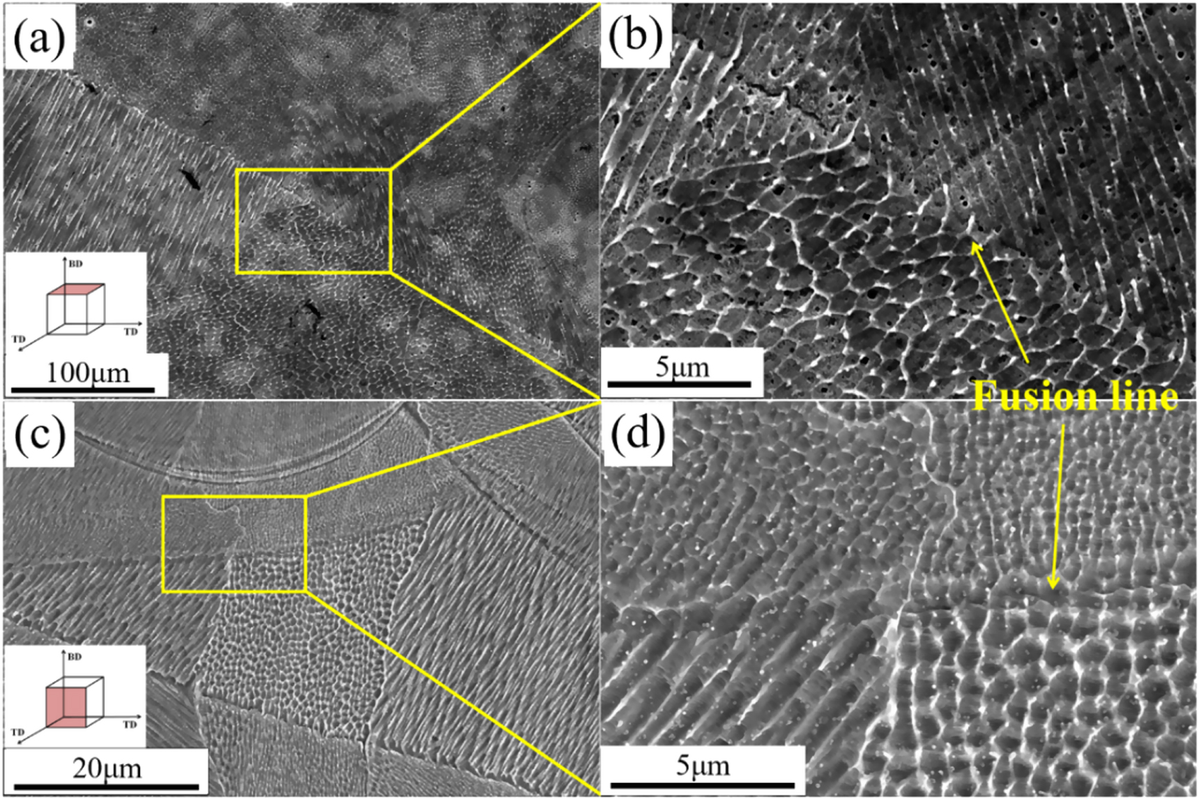 The mechanism of substructure formation and grain growth 316L stainless ...