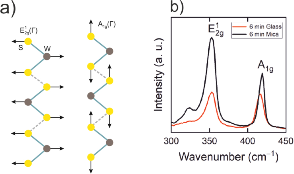 Nucleation and growth studies of large-area deposited WS2 on flexible ...