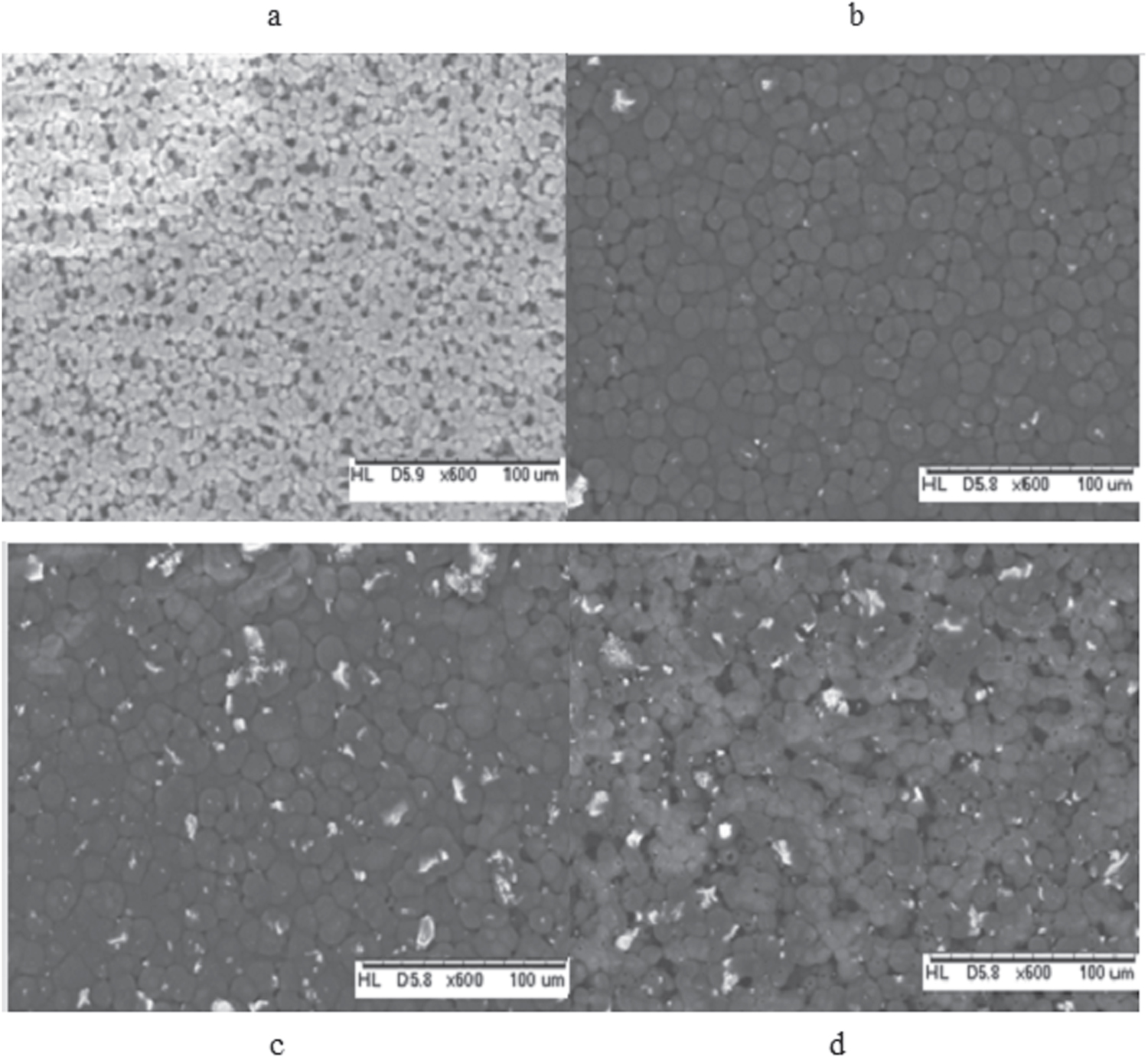 Development and surface properties of polyamide 6 and quasicrystal ...
