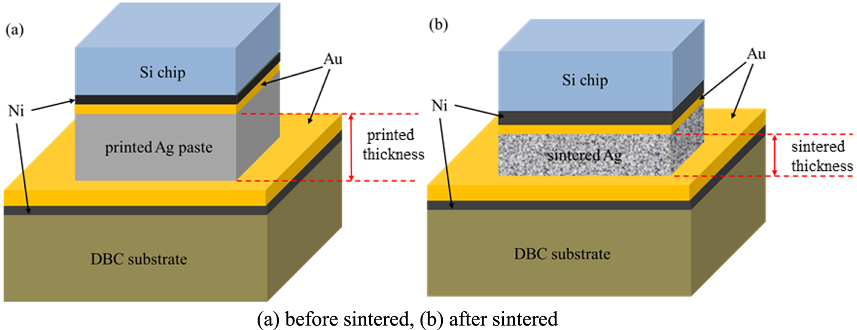 Study on layer formation behavior of Ag joints sintered with ...