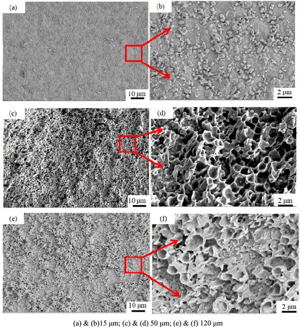 Study on layer formation behavior of Ag joints sintered with ...