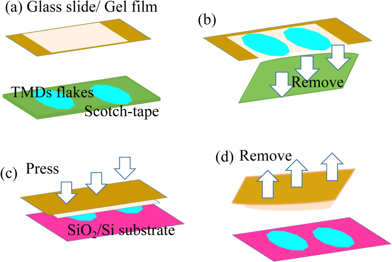 Recent progress on the mechanical exfoliation of 2D transition metal ...