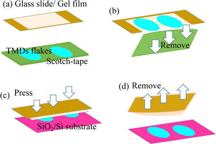 Recent progress on the mechanical exfoliation of 2D transition metal ...