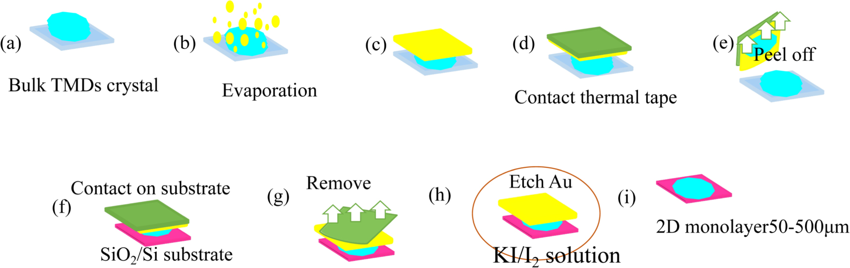 Recent progress on the mechanical exfoliation of 2D transition metal ...