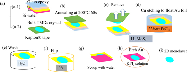 Recent progress on the mechanical exfoliation of 2D transition metal ...