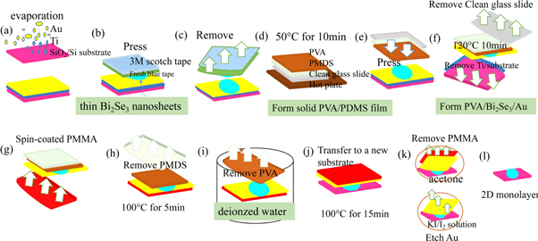 Recent progress on the mechanical exfoliation of 2D transition metal ...
