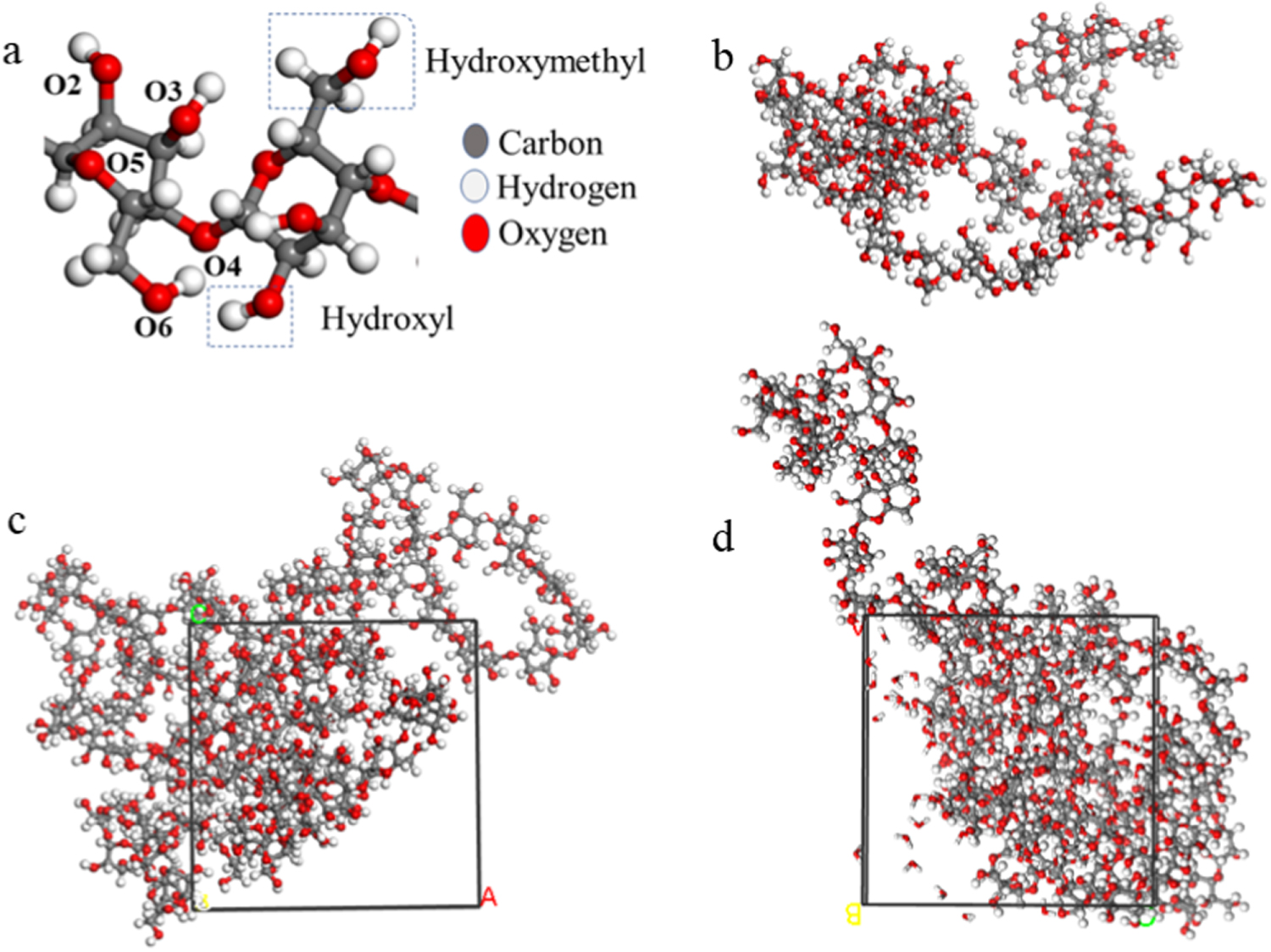 Effect of moisture content on the microscopic properties of amorphous ...