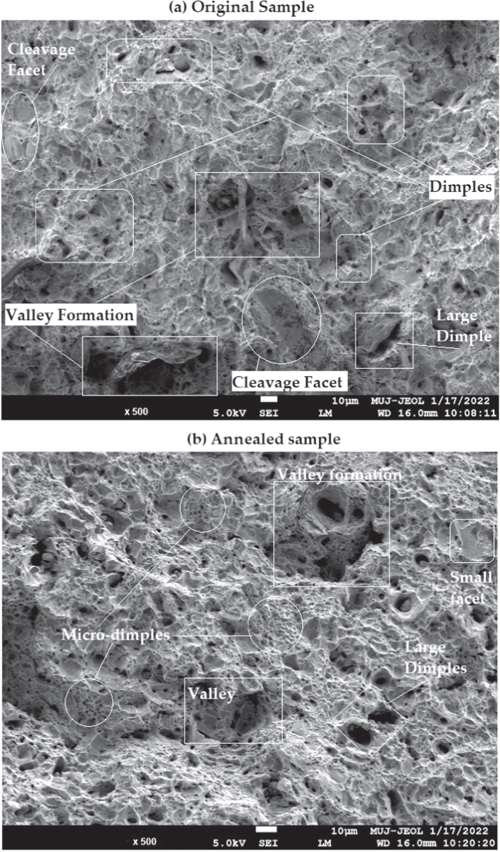 Fractography analysis into low-C steel undergone through various ...