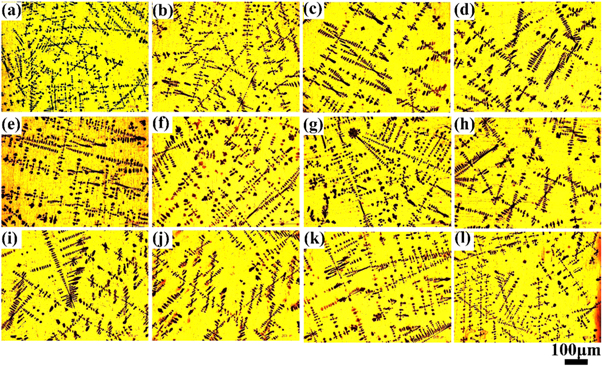 Study on the morphology and distribution of Fe phase in solidification ...