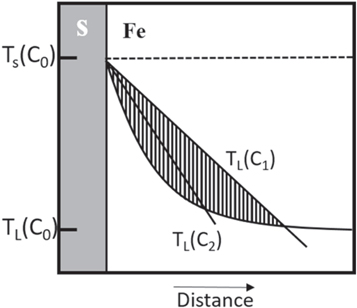 Study on the morphology and distribution of Fe phase in solidification ...