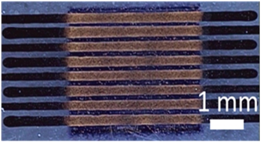 A review on thin films, conducting polymers as sensor devices - IOPscience