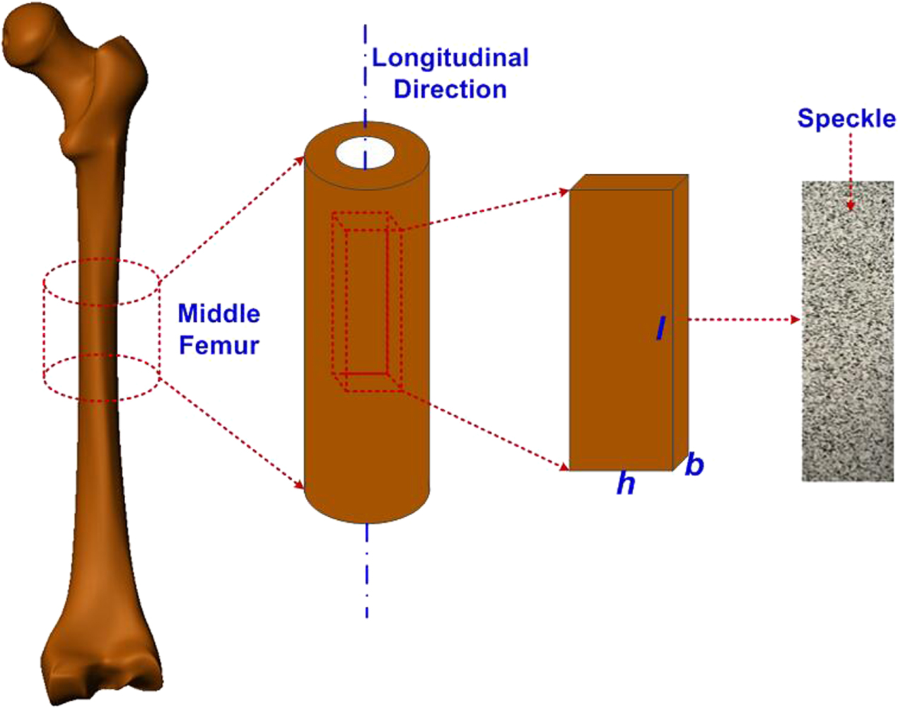 Investigation of the mechanical response and deformation mechanism of ...