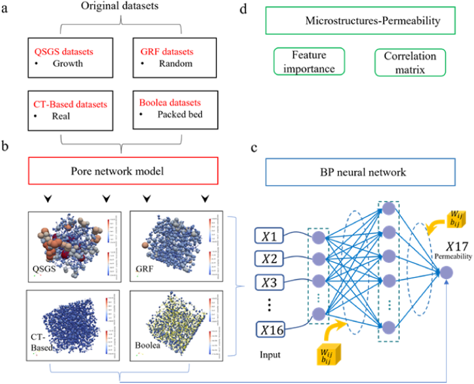 Study on the linkages between microstructure and permeability of porous ...