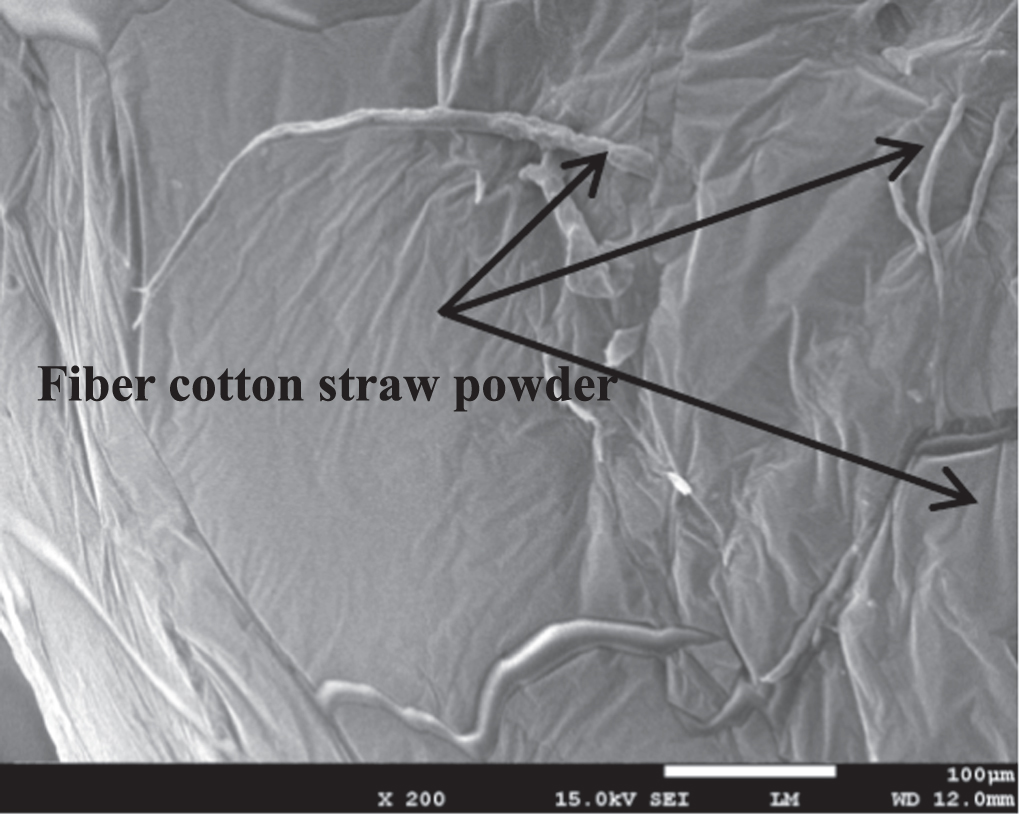 Study on pavement performance of cotton straw cellulose modified ...