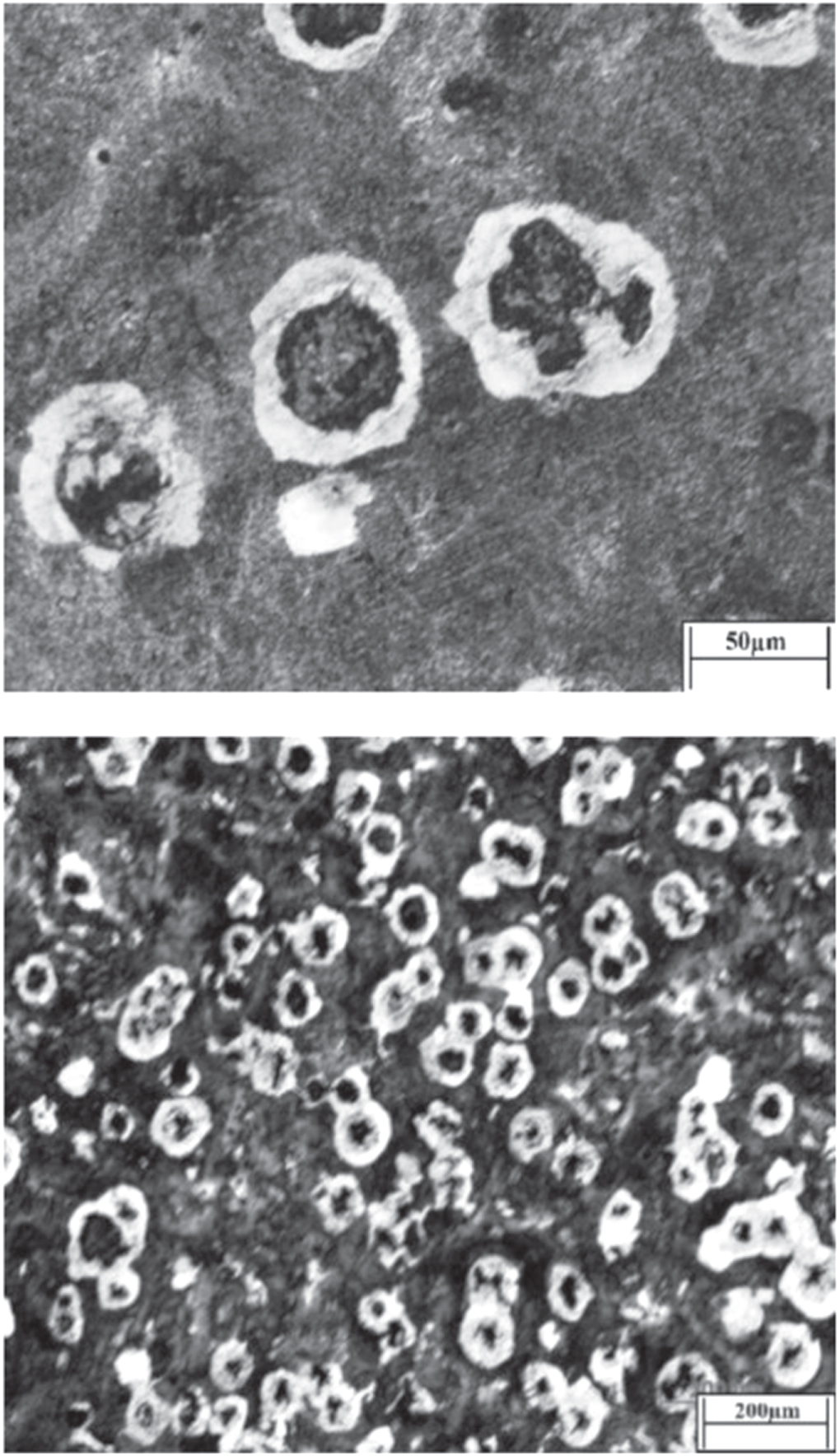 Austenitization and formation of ausferrite structure in austempered ...