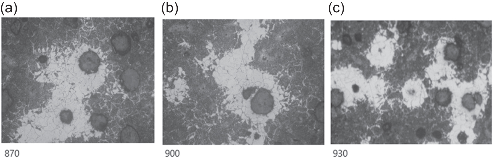 Austenitization and formation of ausferrite structure in austempered ...