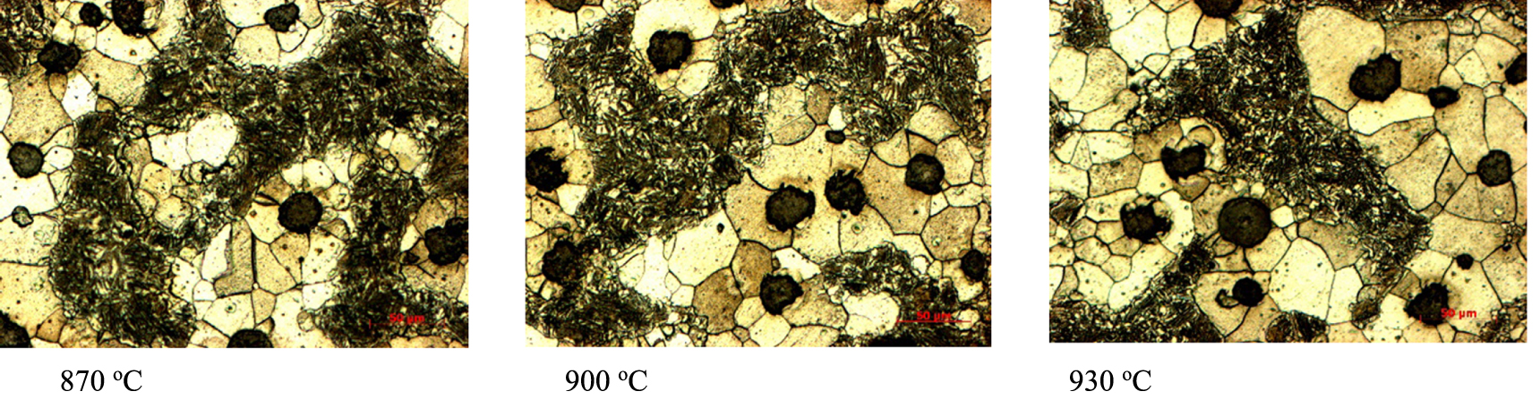 Austenitization and formation of ausferrite structure in austempered ...