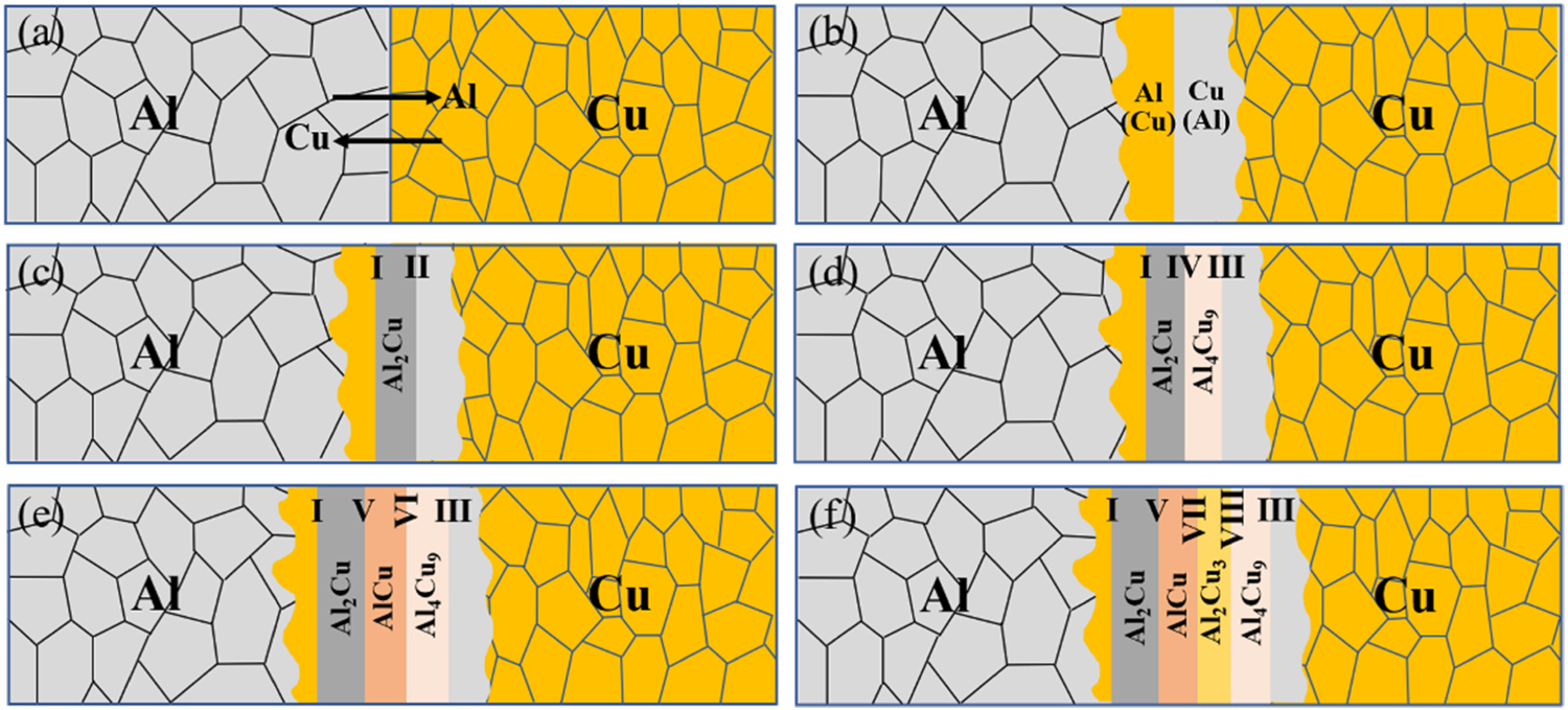 The formation and growth of intermetallic compounds during ...